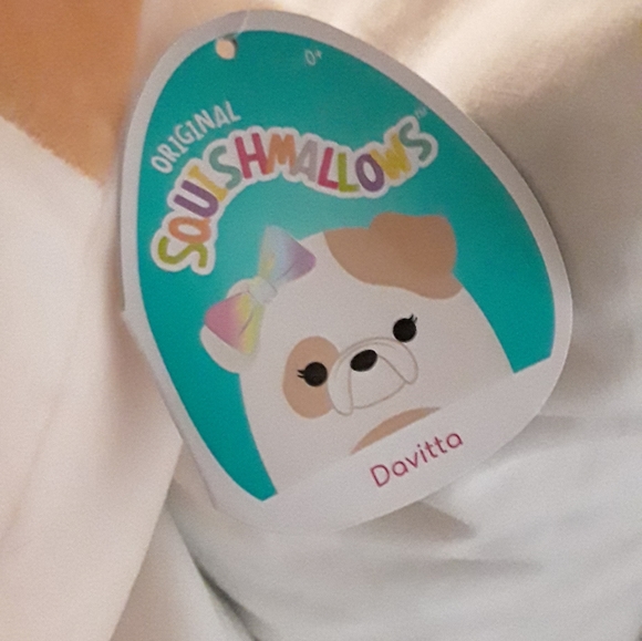 Squeeze | Toys | Squishmallow Pug Rainbow Ear Rainbow Davitta New Tags ...
